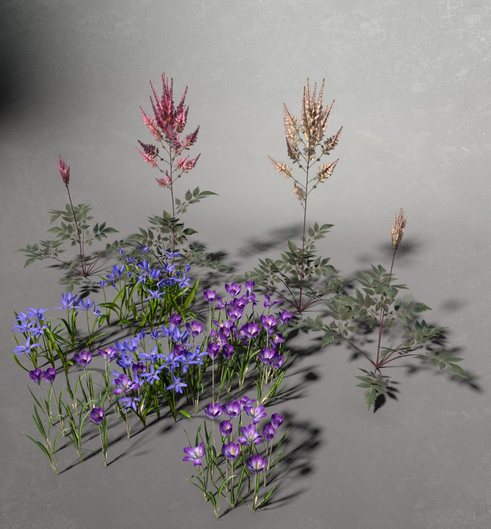 Flower Decorate Springtime Obj