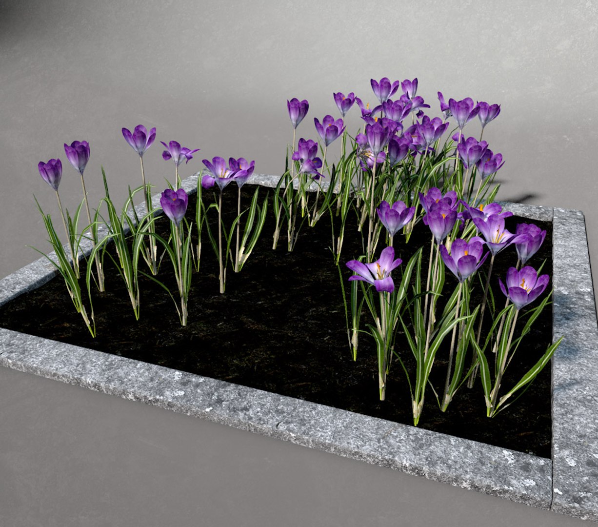 Flower Decorate Springtime Obj