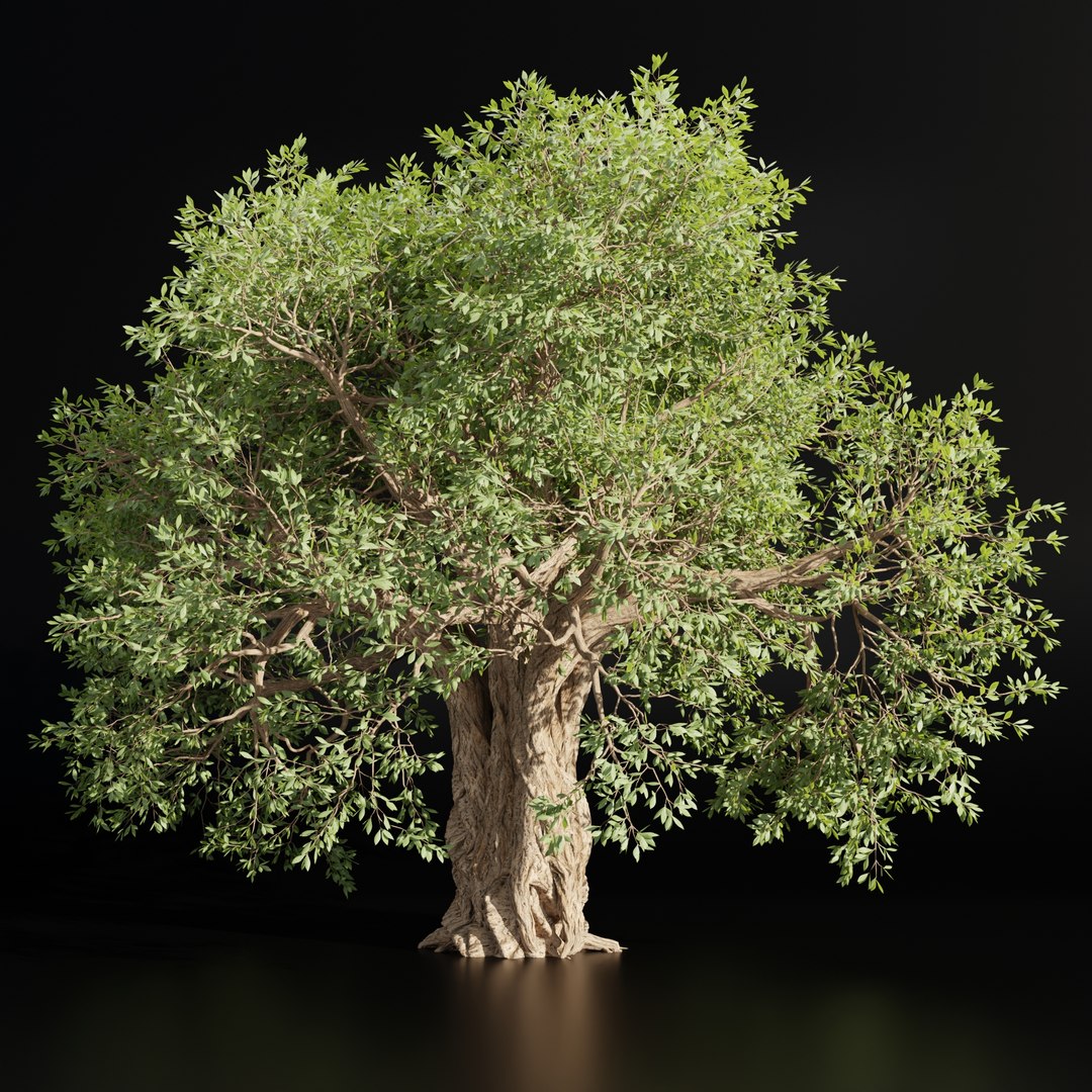 3D Mysterious Tree Vol 251-Blender-3dmodel - TurboSquid 2217085