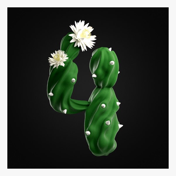 modelo 3d Cactus Número 4 Cuatro - TurboSquid 2128363