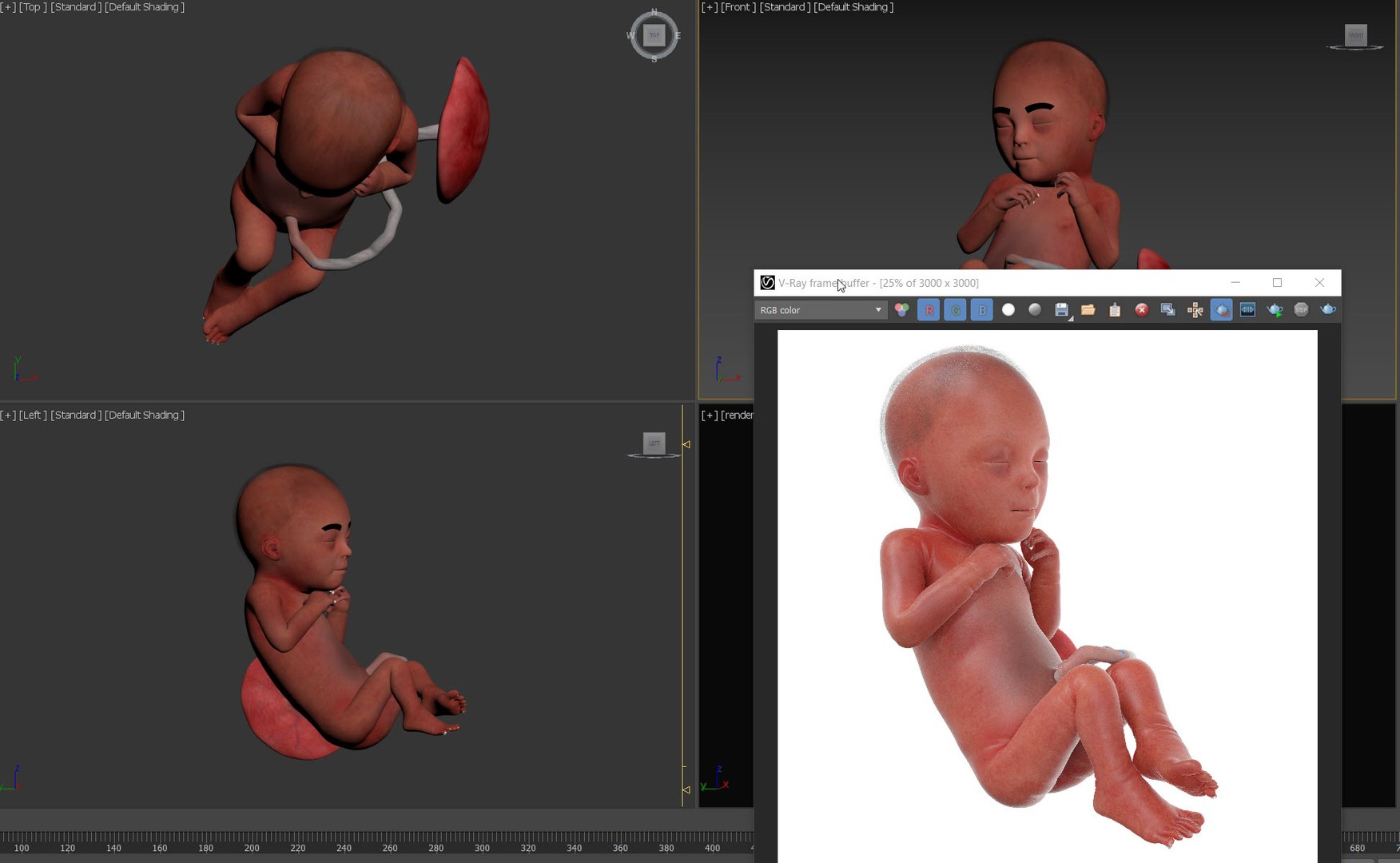 Fetus Week 26 Static Model - TurboSquid 1870904