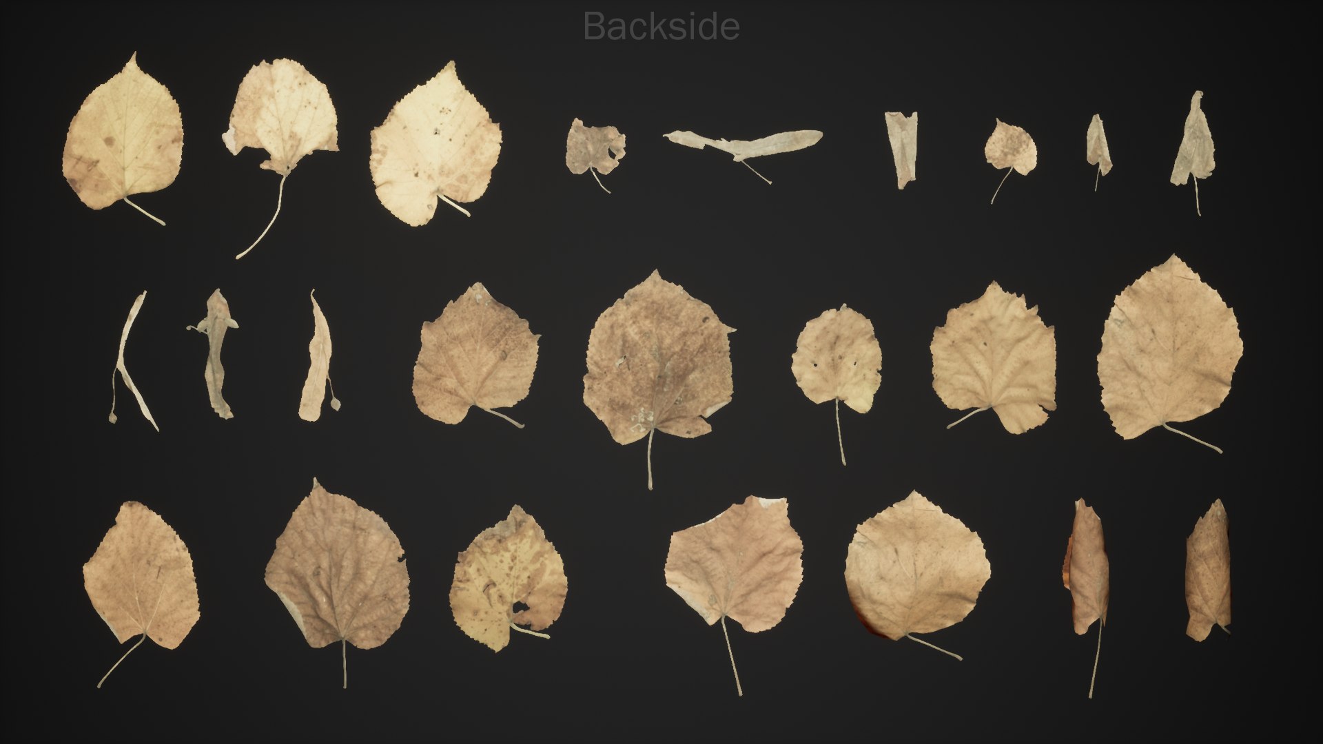 Ue4 Scan 3D Model - TurboSquid 1652172