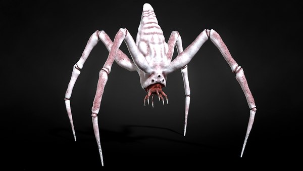 Spider Monster model - TurboSquid 1984597