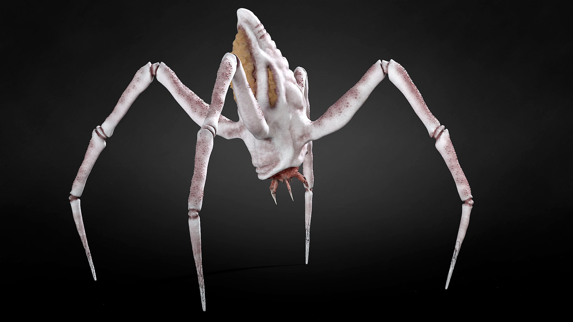 Spider Monster Model - TurboSquid 1984597