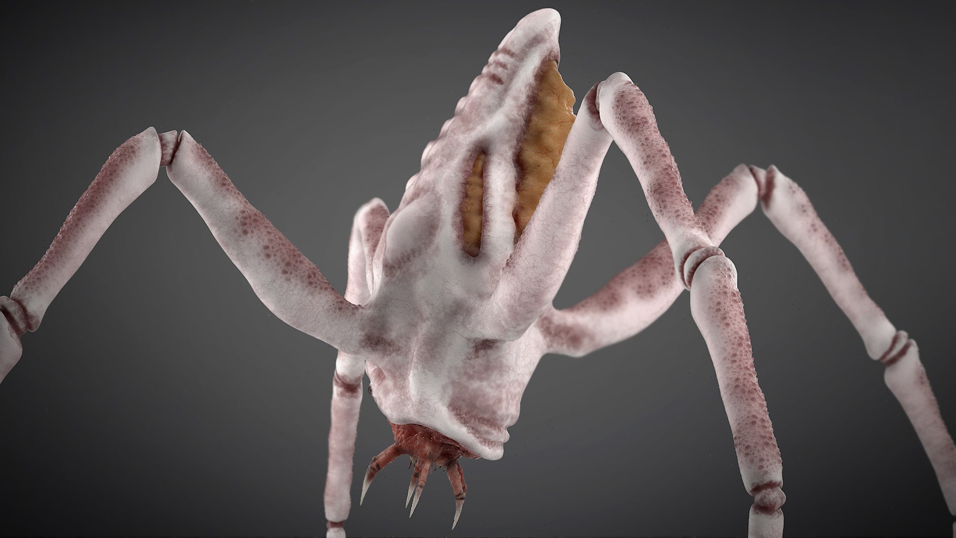Spider Monster Model - TurboSquid 1984597