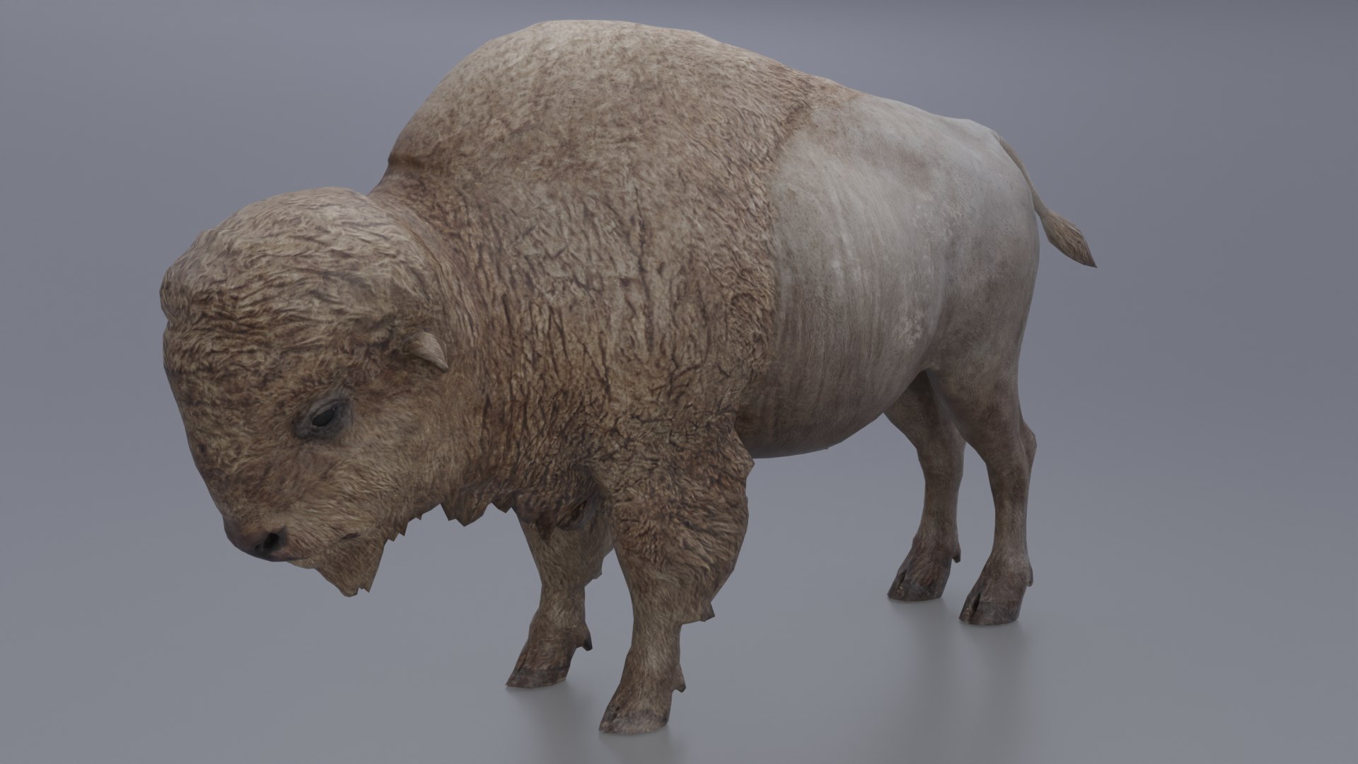 3D Bison - TurboSquid 2158270