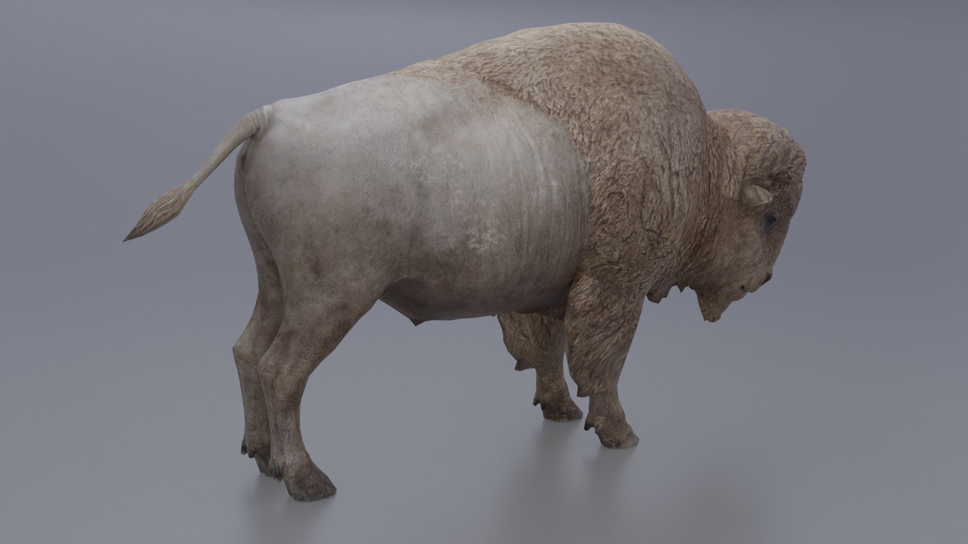 3D Bison - TurboSquid 2158270