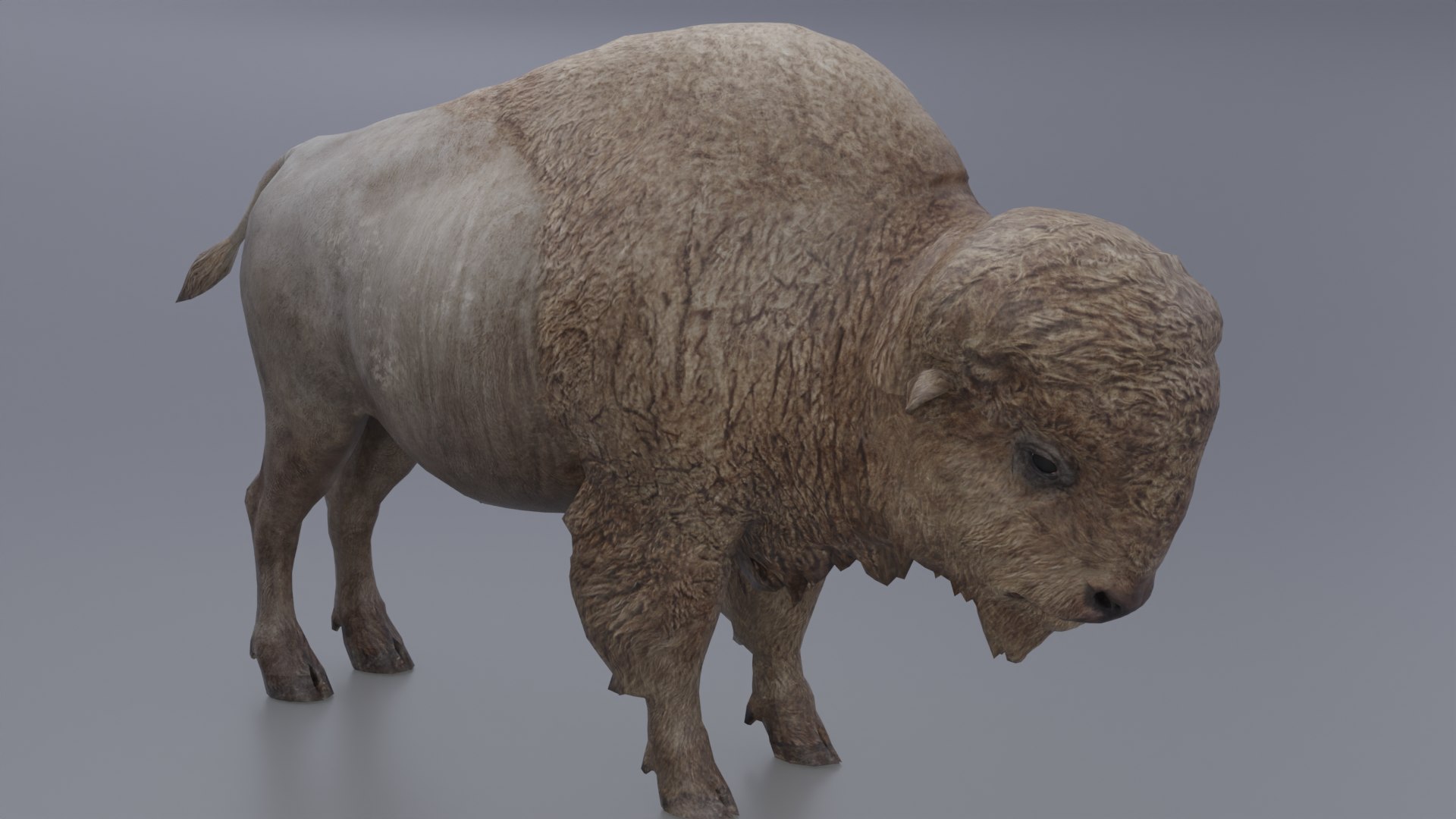 3D Bison - TurboSquid 2158270