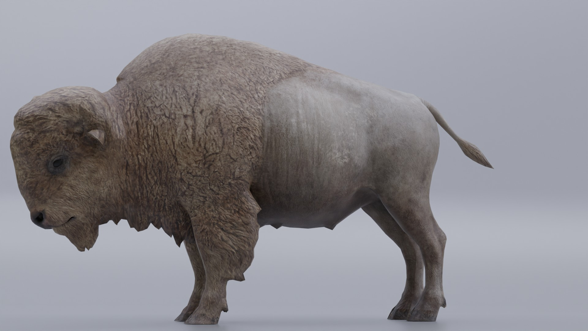 3D Bison - TurboSquid 2158270