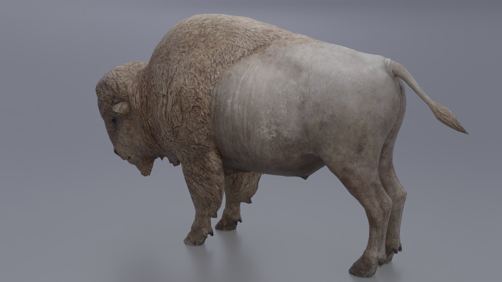 3D Bison - TurboSquid 2158270