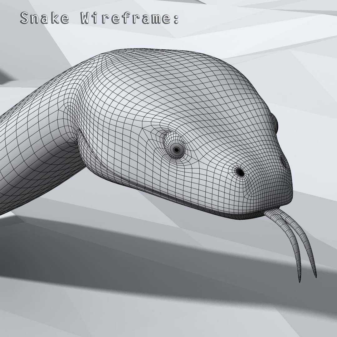3d Generic Snake Animation Model
