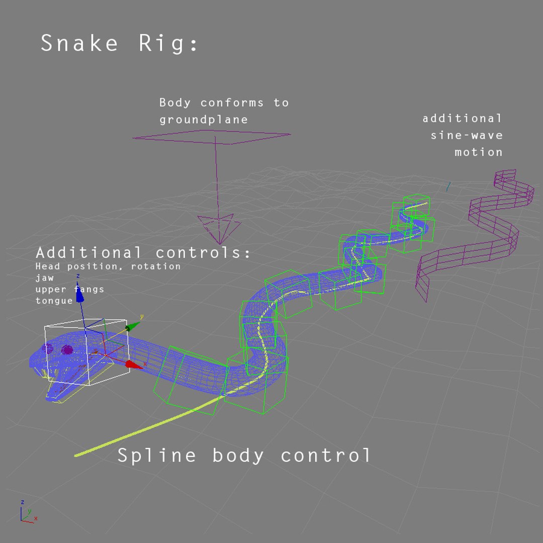 3d Generic Snake Animation Model