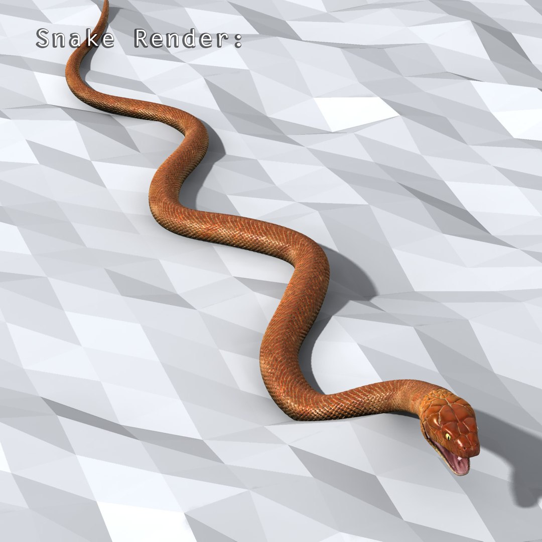 3d Generic Snake Animation Model