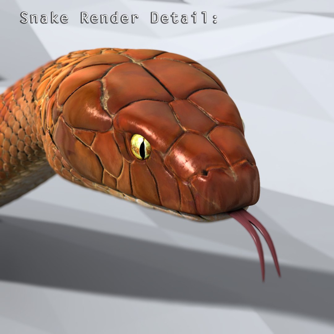 3d Generic Snake Animation Model