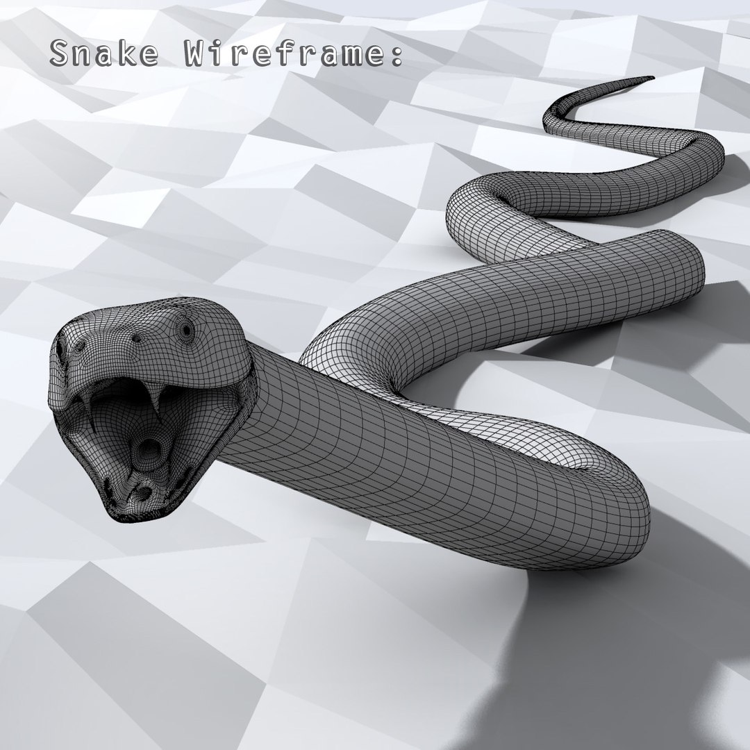 3d Generic Snake Animation Model