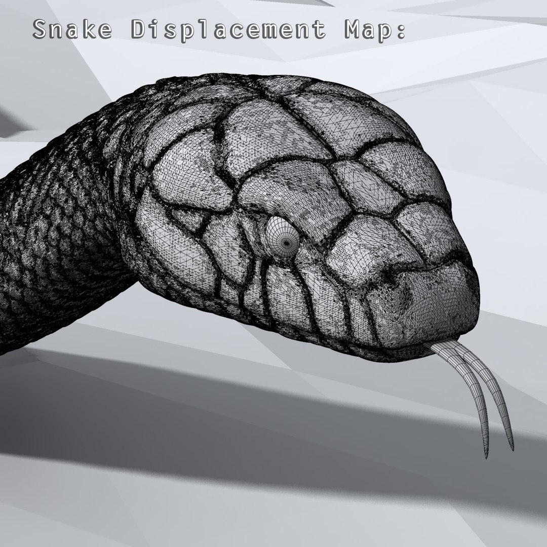 3d Generic Snake Animation Model