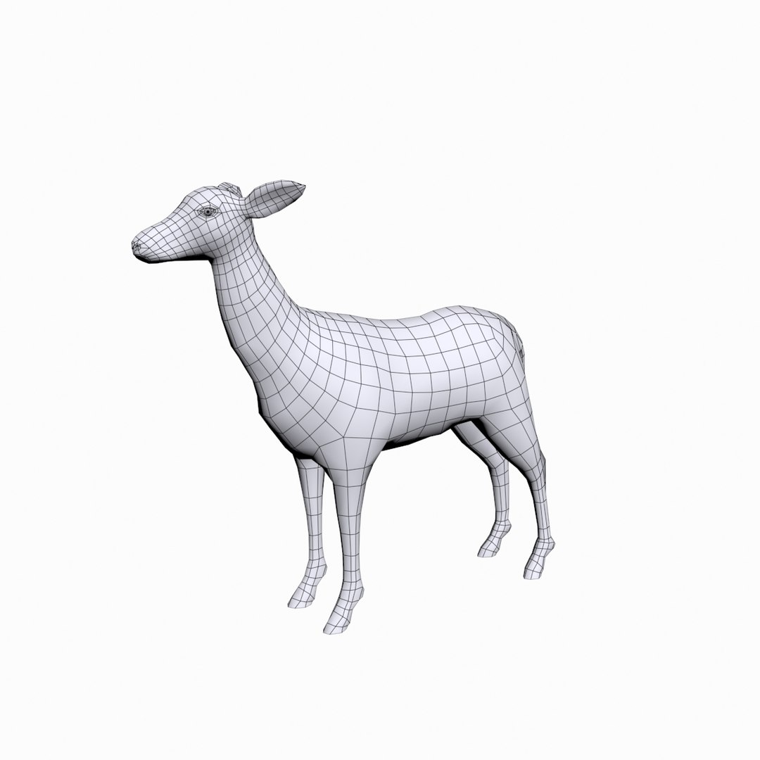 3d Doe Female Deer Model