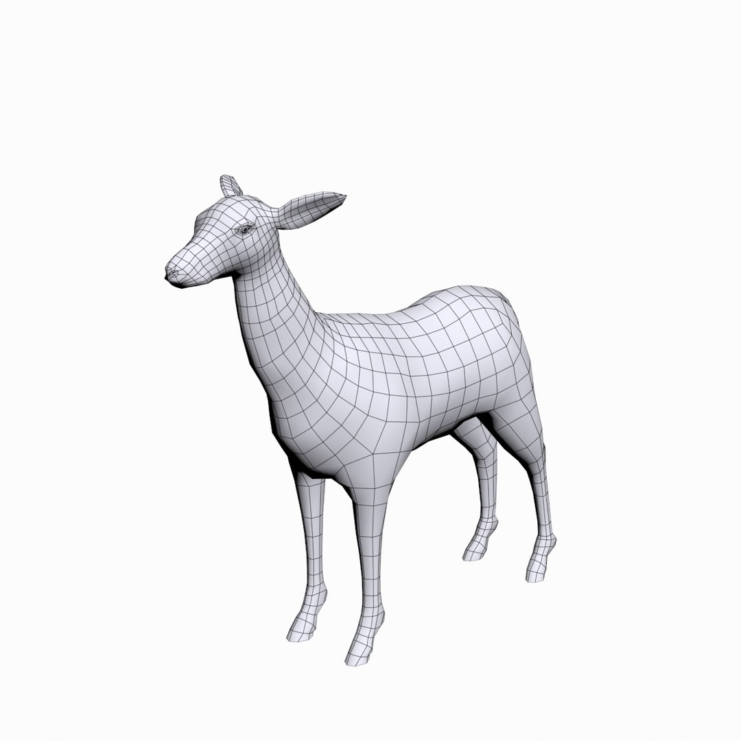 3d Doe Female Deer Model