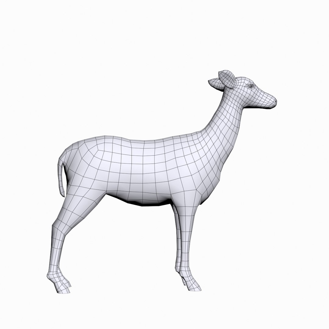 3d Doe Female Deer Model
