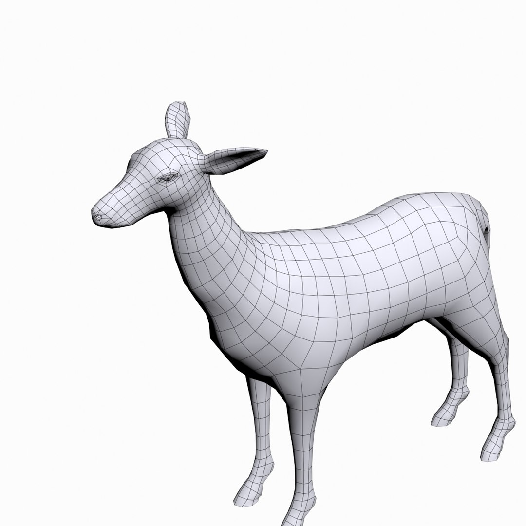 3d Doe Female Deer Model