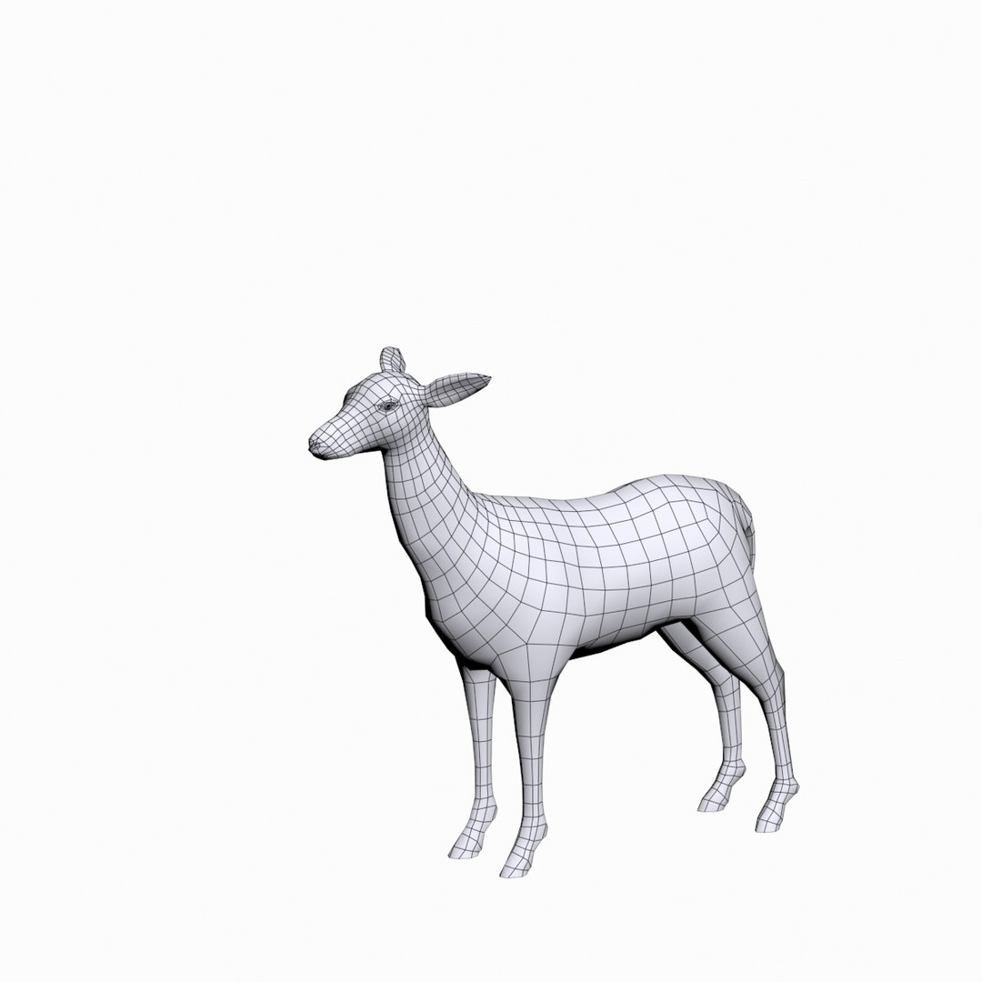 3d Doe Female Deer Model
