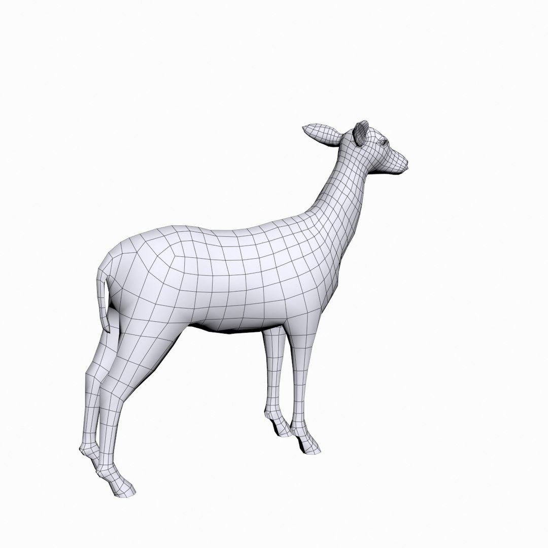 3d Doe Female Deer Model