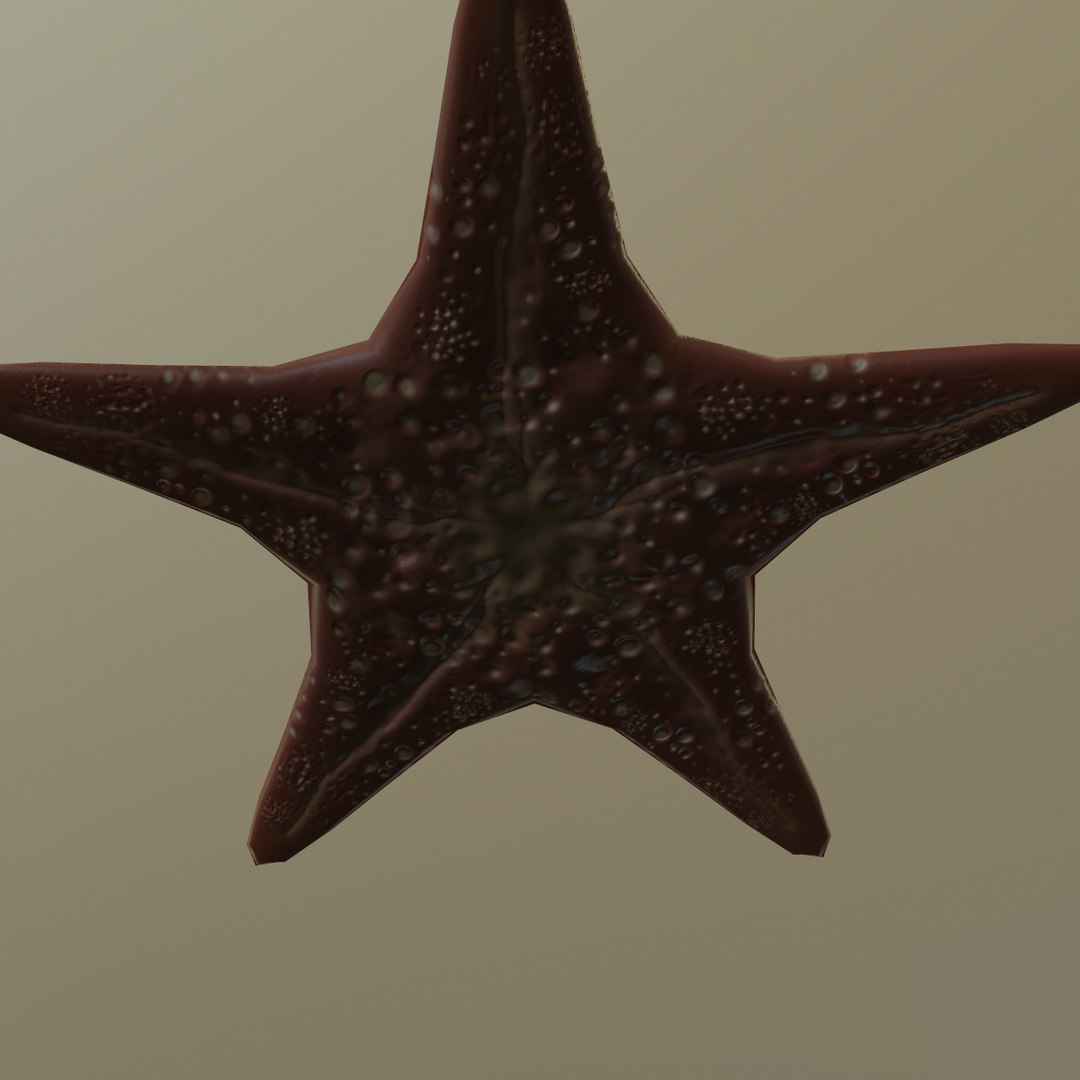 Starfish Pbr Ue4 3d Model