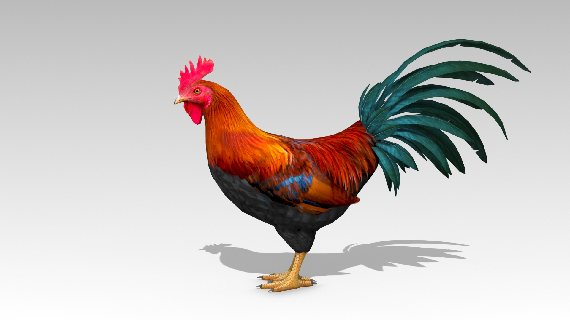 3D Rooster Model - TurboSquid 2046000