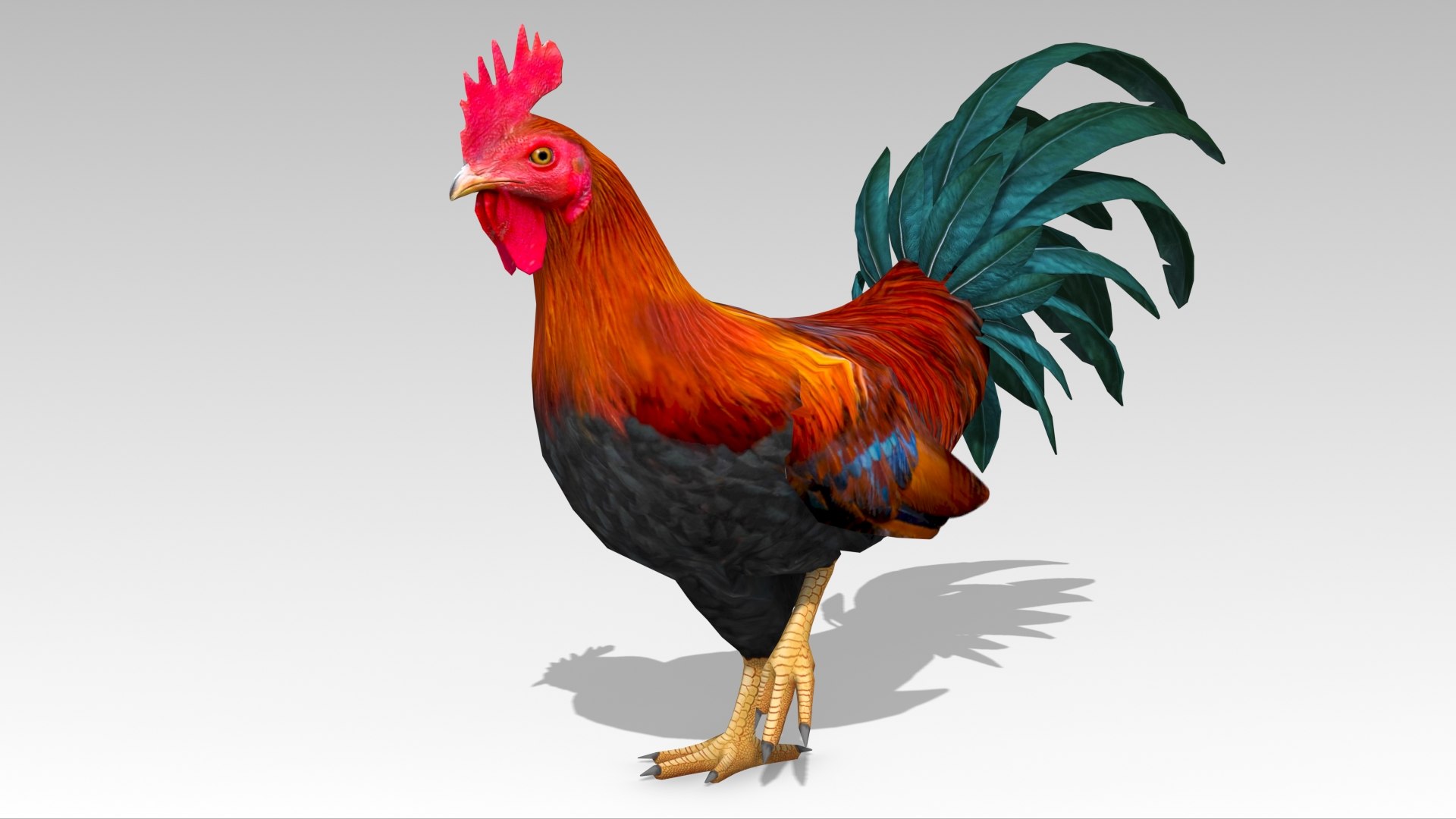 3D Rooster Model - TurboSquid 2046000