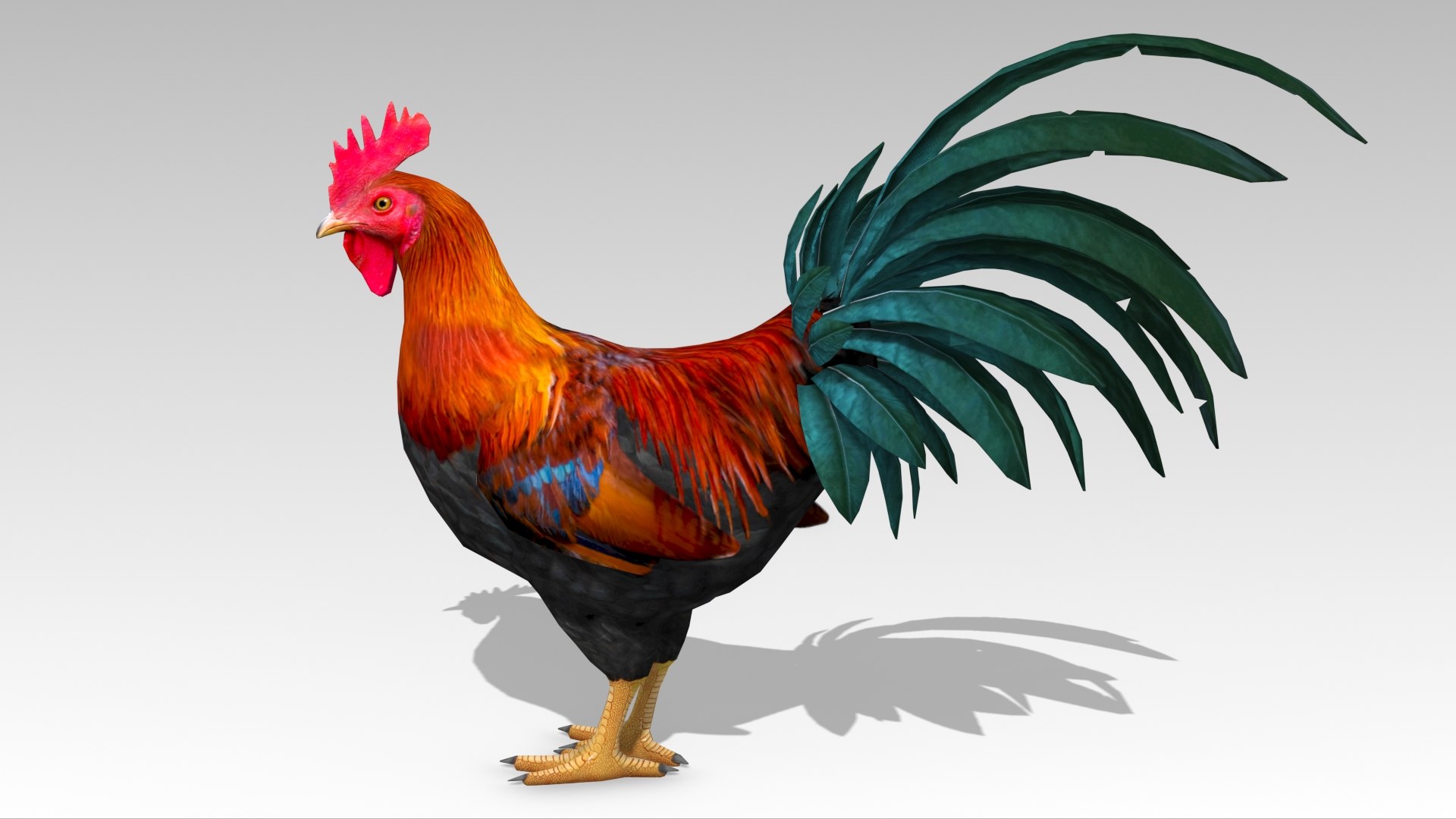 3D Rooster Model - TurboSquid 2046000