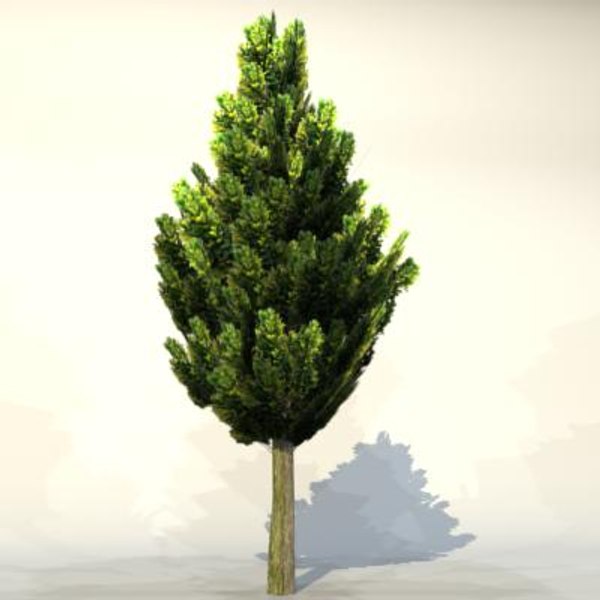 pc tree 3d model