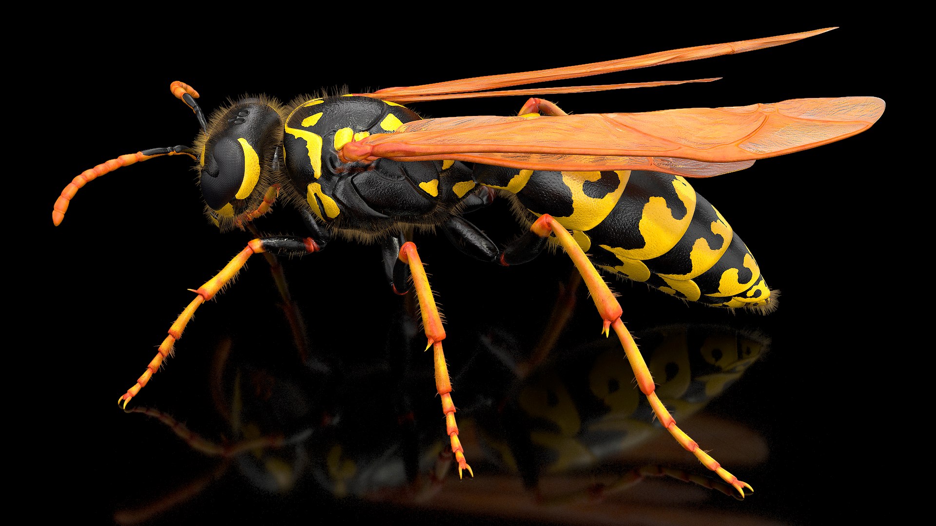 Wasp Standing Pose Fur 3D - TurboSquid 1622040