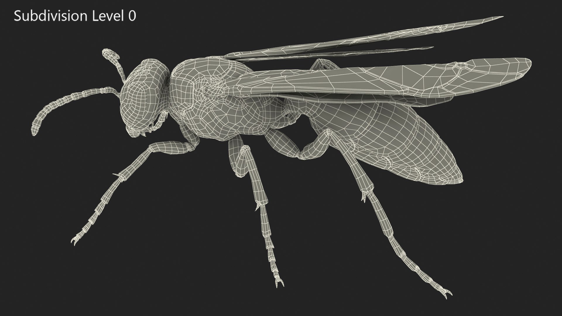 Wasp Standing Pose Fur 3D - TurboSquid 1622040