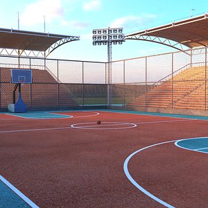 maya basketball goal
