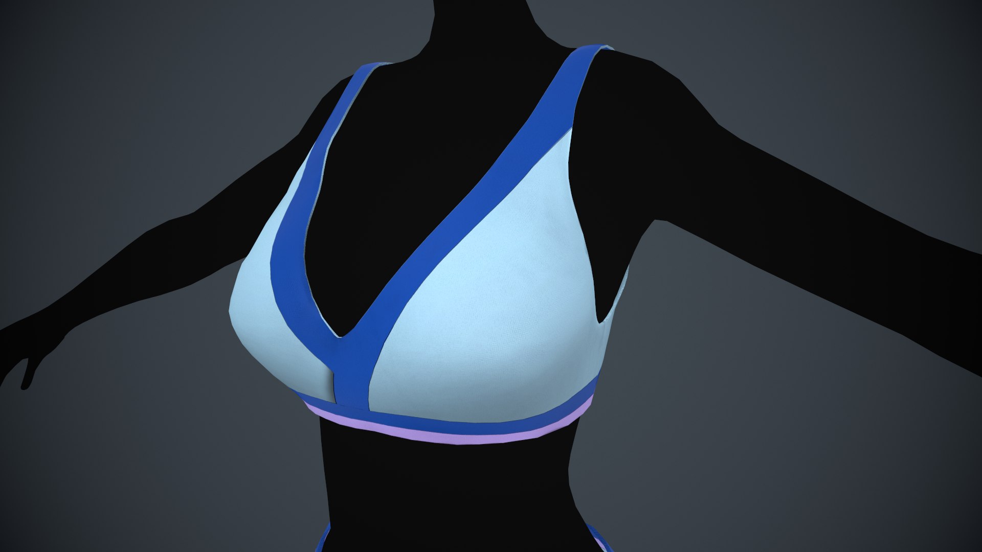 Female Bra And Underwear 3D - TurboSquid 1927734