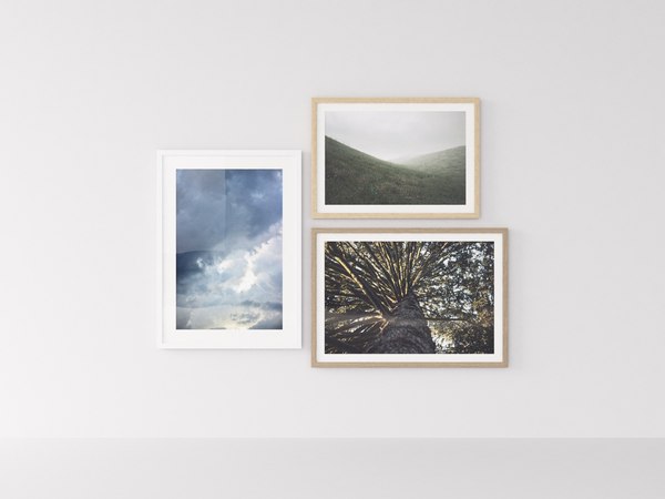 Frames nature 3D model - TurboSquid 1461541