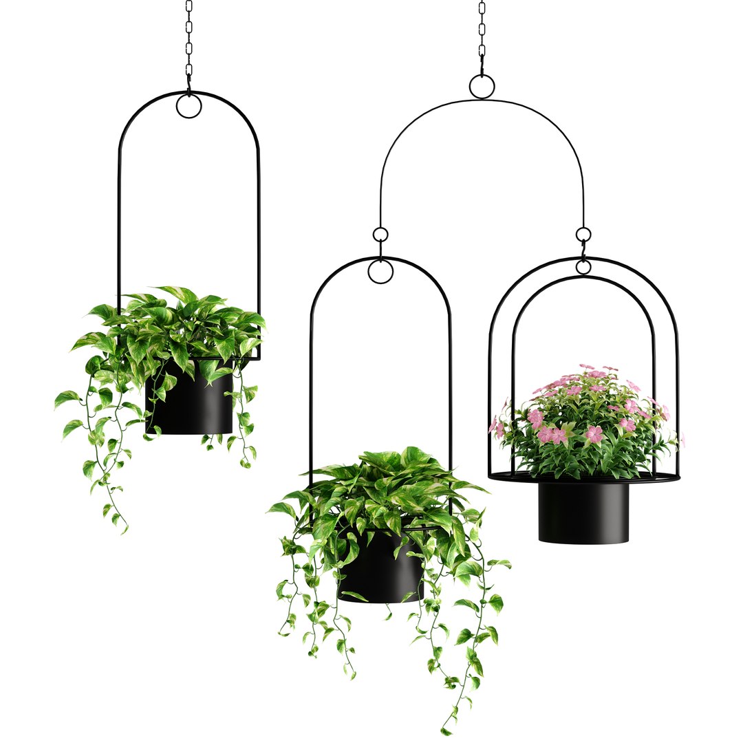 Set 2 Plant Hanger Mou Ceiling 3D - TurboSquid 2097390
