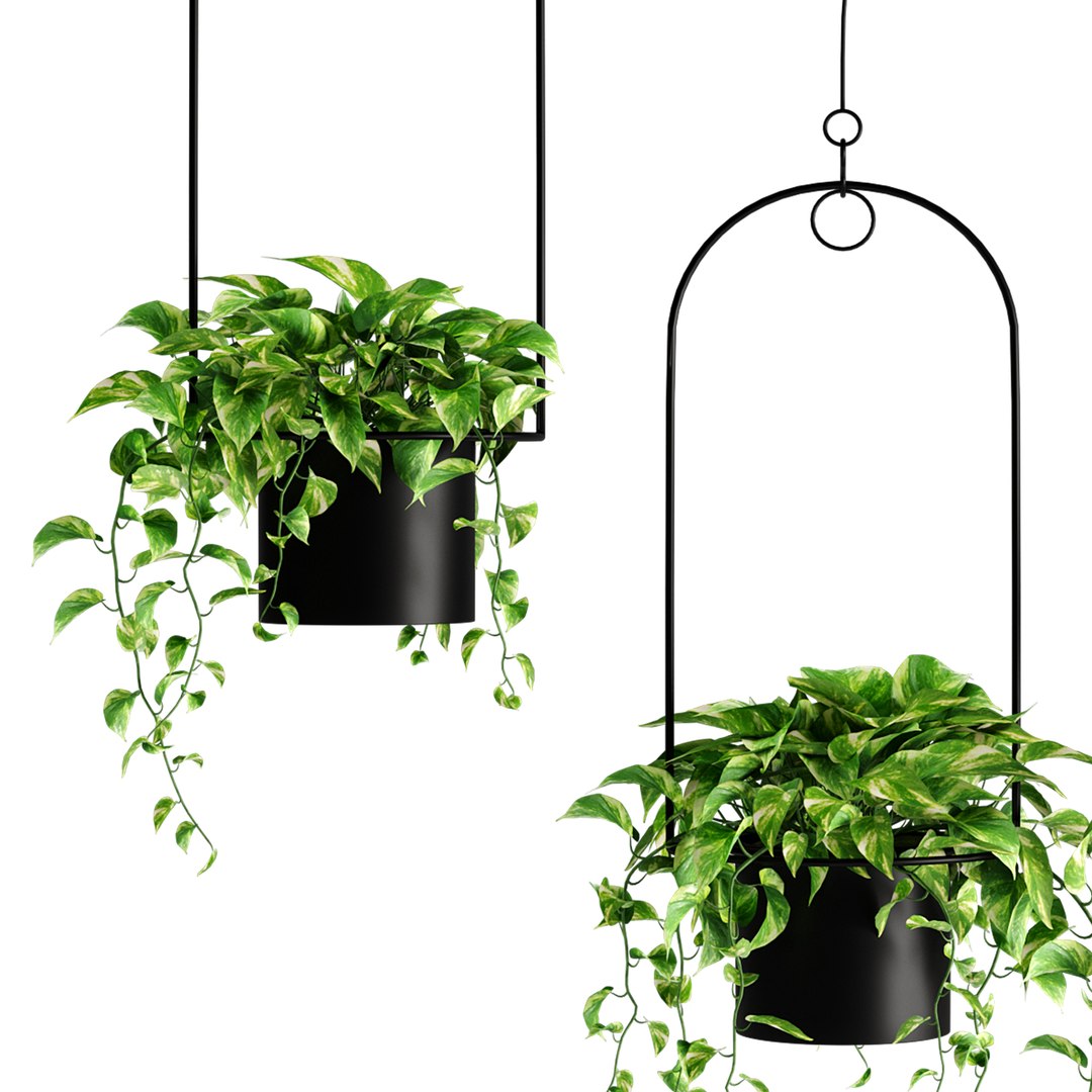 Set 2 Plant Hanger Mou Ceiling 3D - TurboSquid 2097390