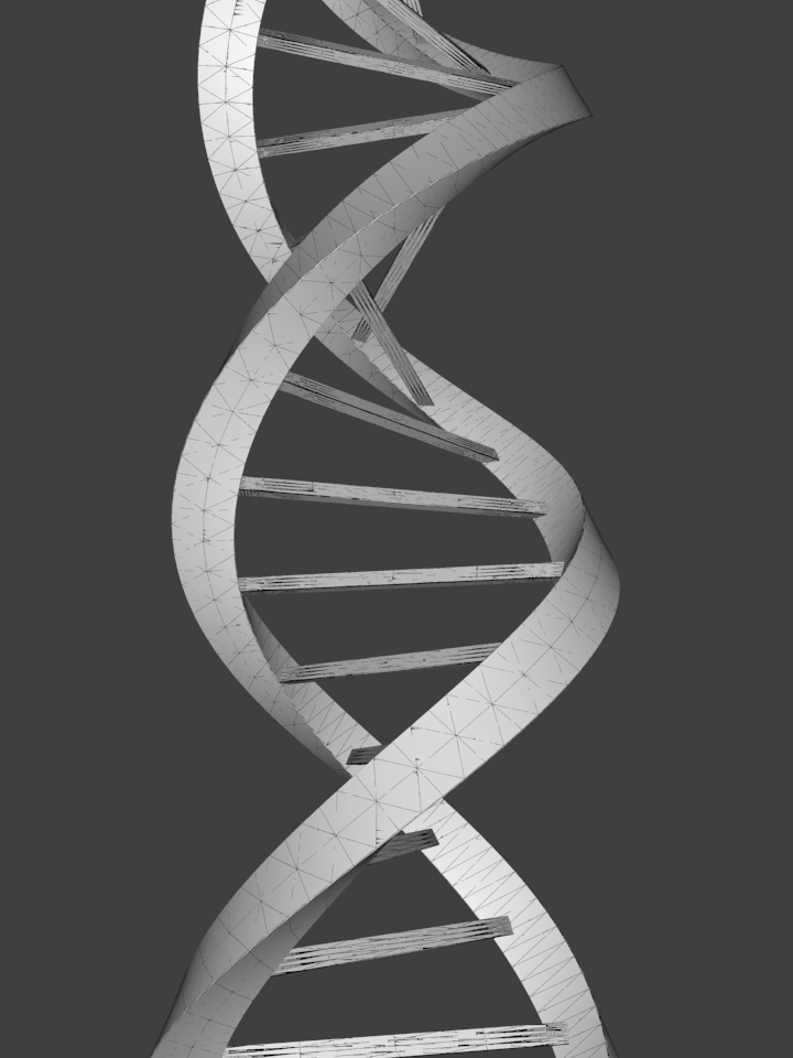 3D dna triangular model - TurboSquid 1383393