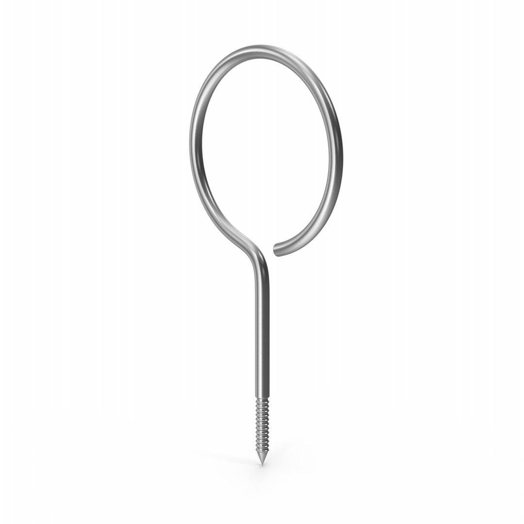 3D Ring Head Screw Model - TurboSquid 2354770