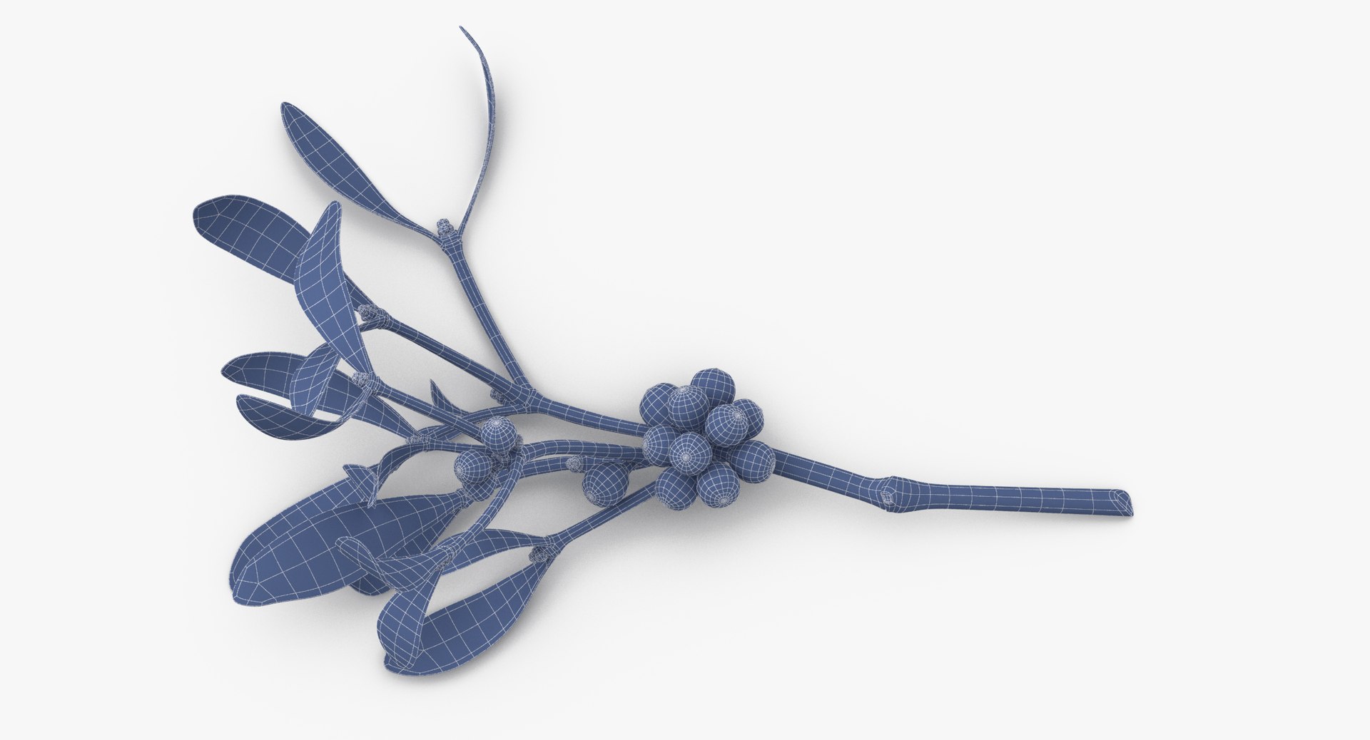 3d Model Mistletoe Sprig