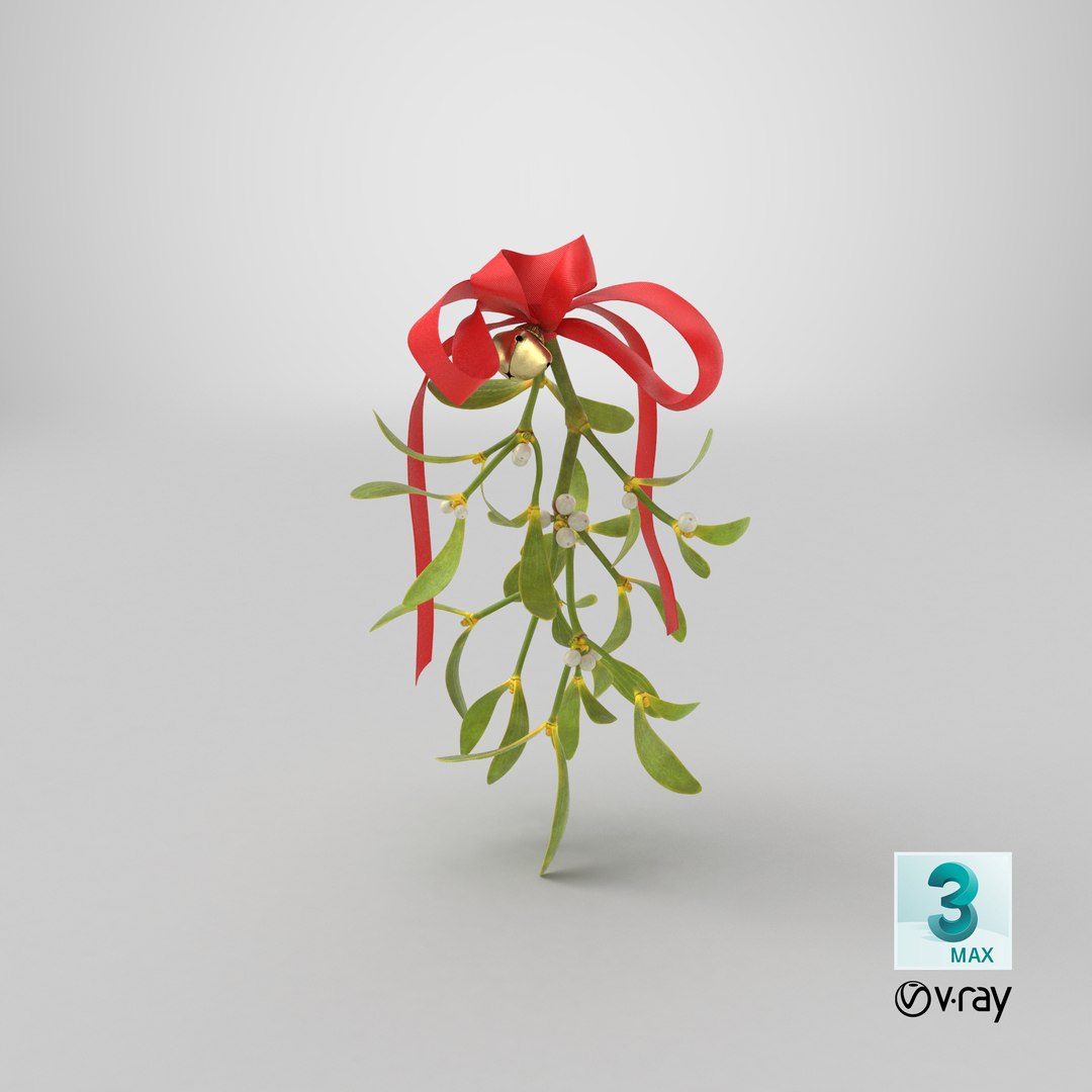 3d model mistletoe sprig