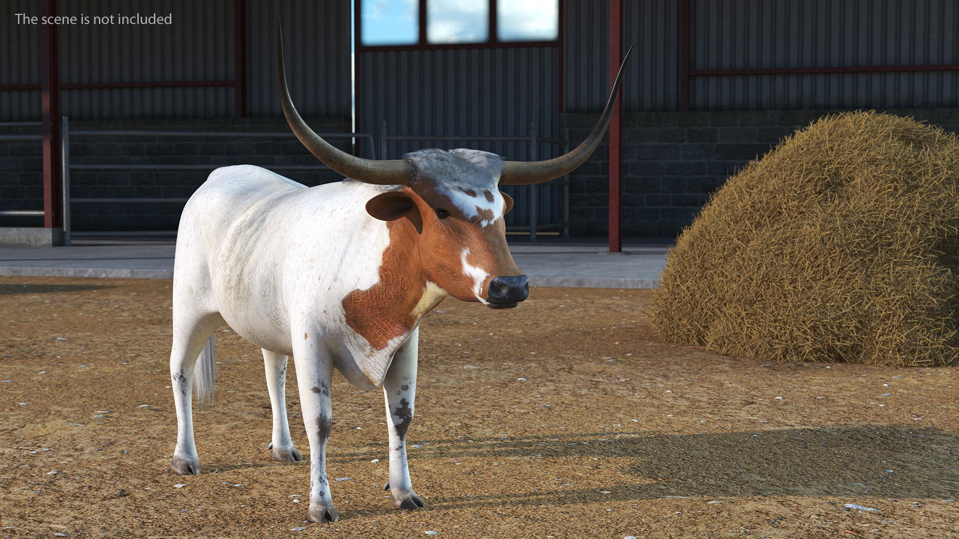 3D Texas Longhorn White Color Rigged For Cinema 4D - TurboSquid 2215319