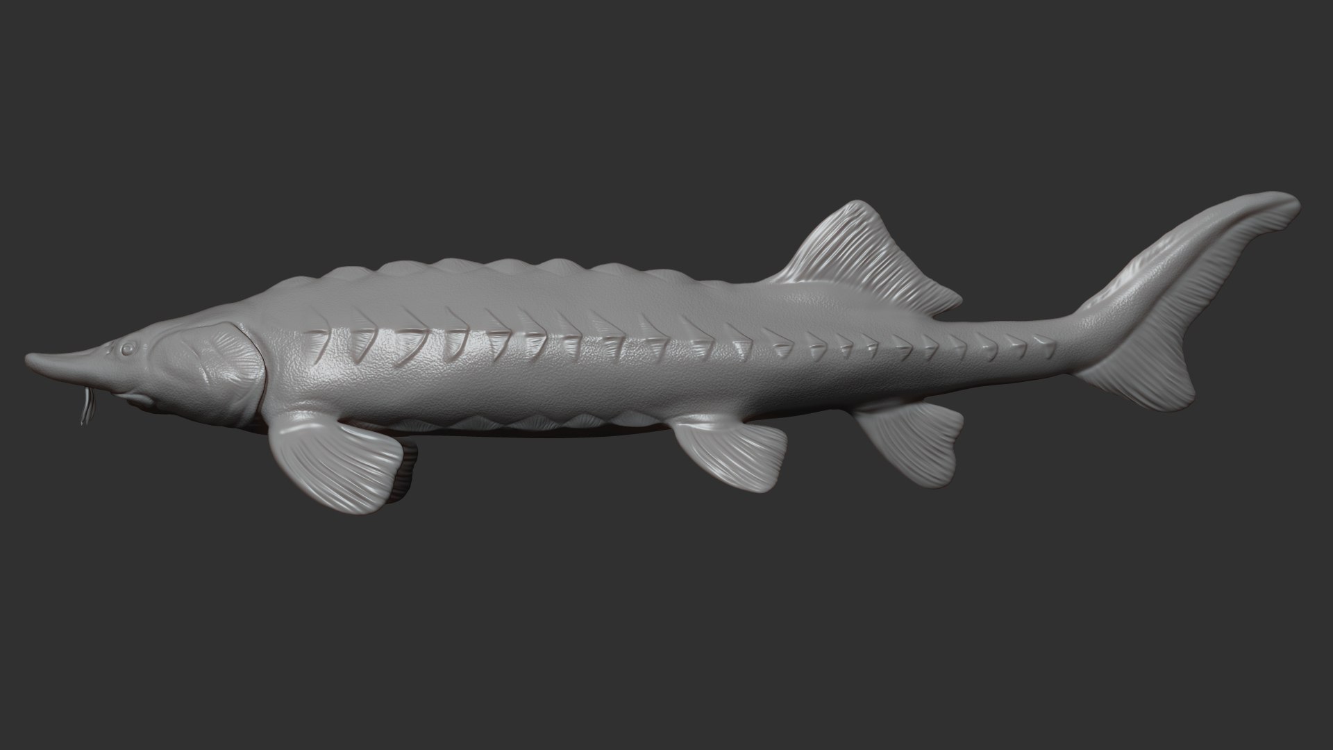3D Sturgeon Beluga Fish On The Base - TurboSquid 2229290