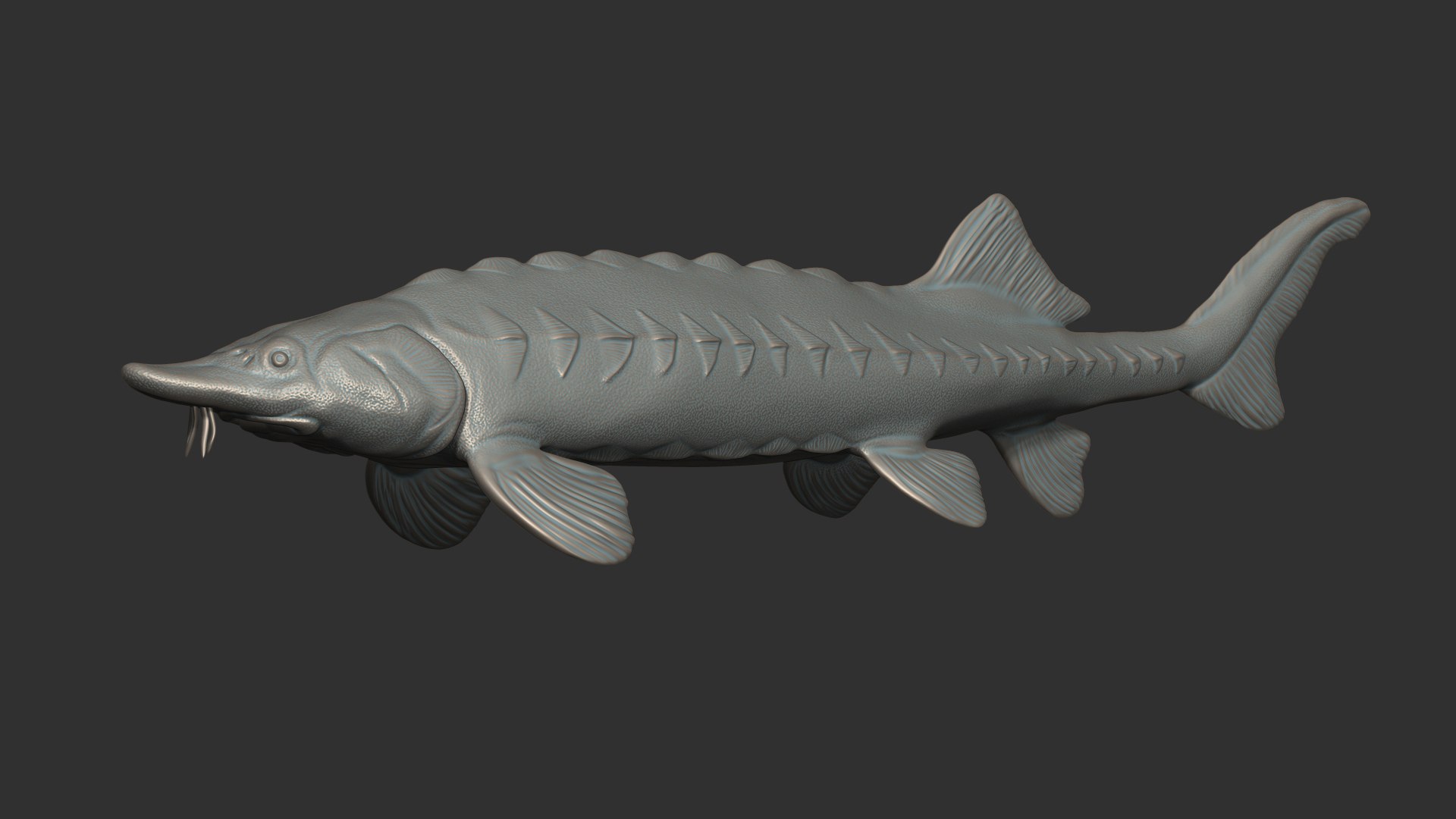 3D Sturgeon Beluga Fish On The Base - TurboSquid 2229290