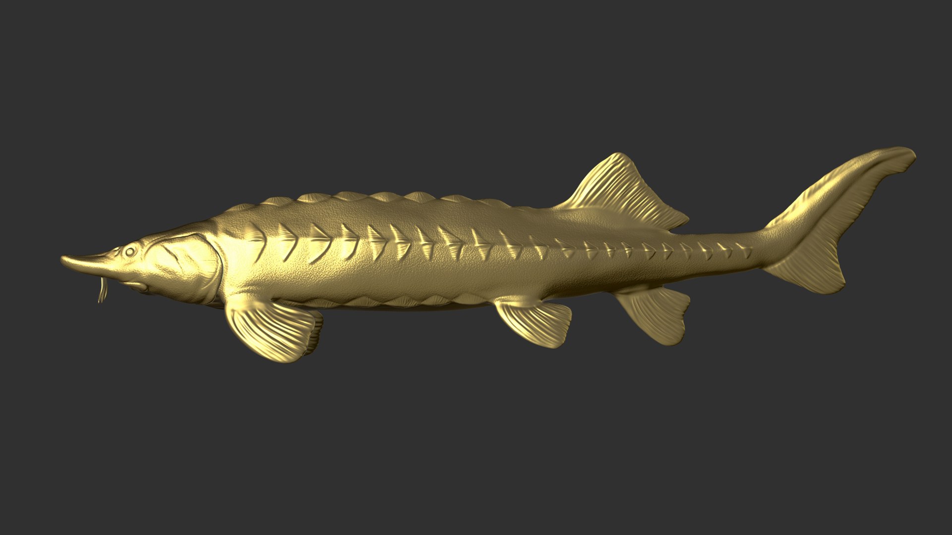 3D Sturgeon Beluga Fish On The Base - TurboSquid 2229290