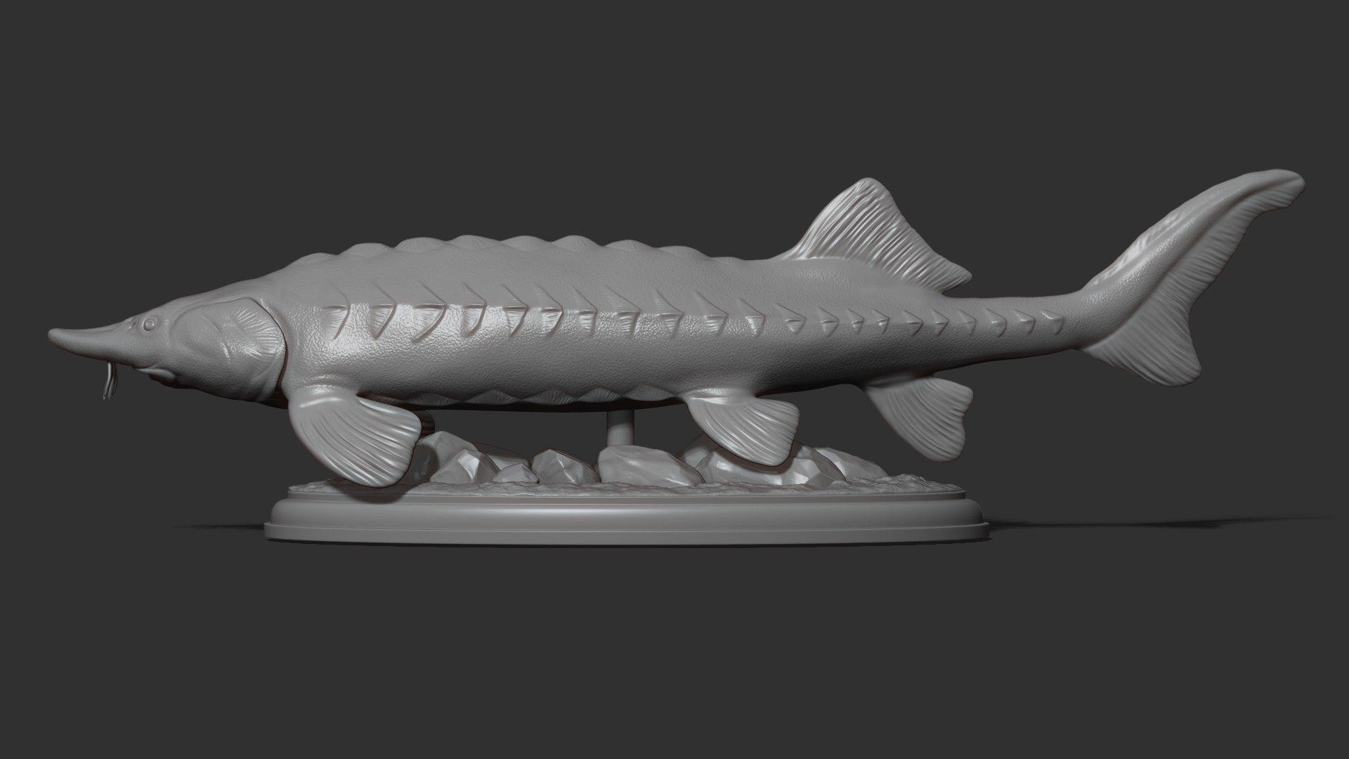 3D Sturgeon Beluga Fish On The Base - TurboSquid 2229290