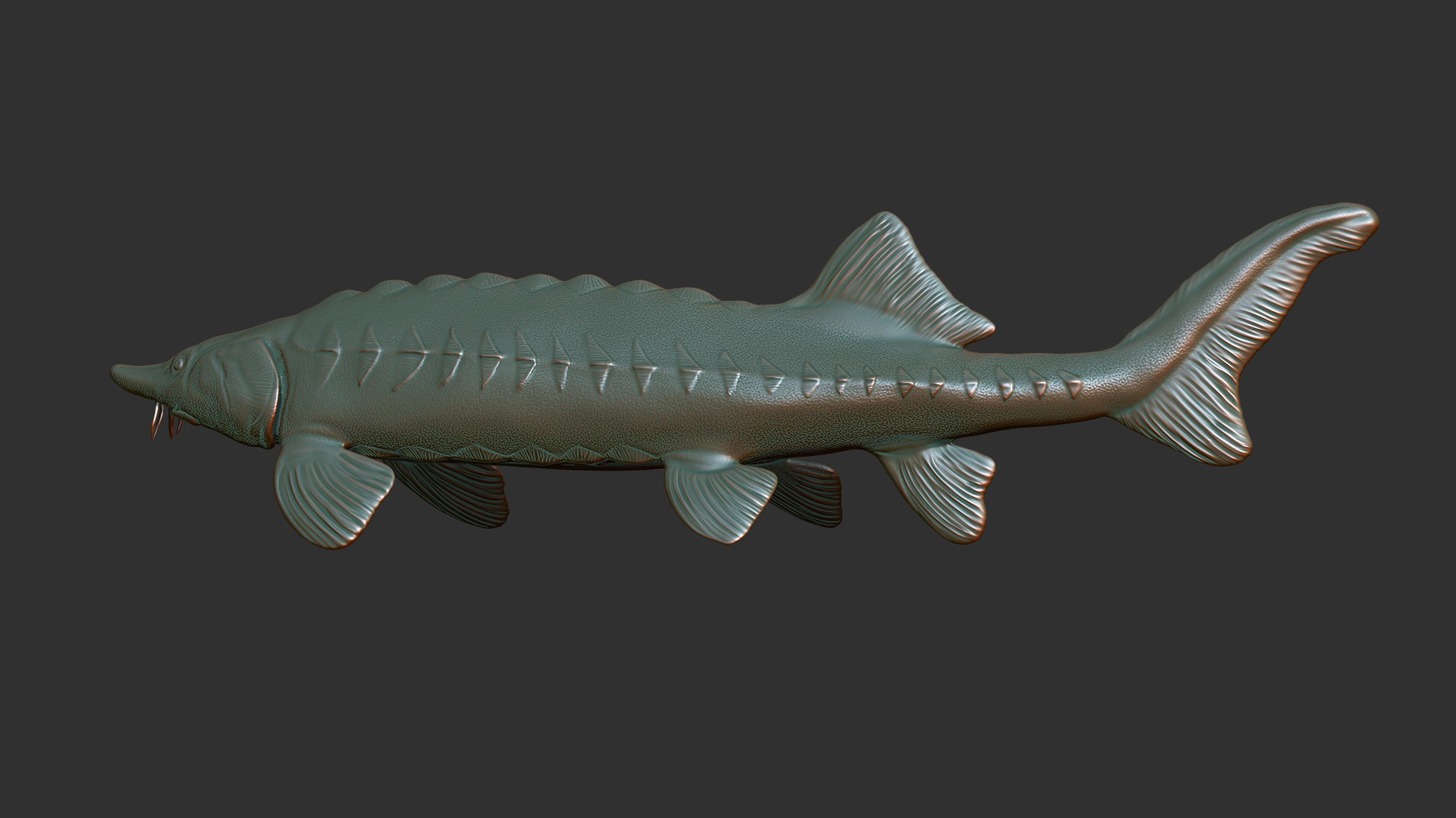3D Sturgeon Beluga Fish On The Base - TurboSquid 2229290