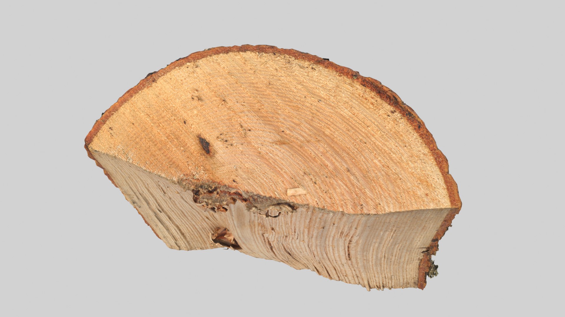 3D Model Log 02 - TurboSquid 1983429