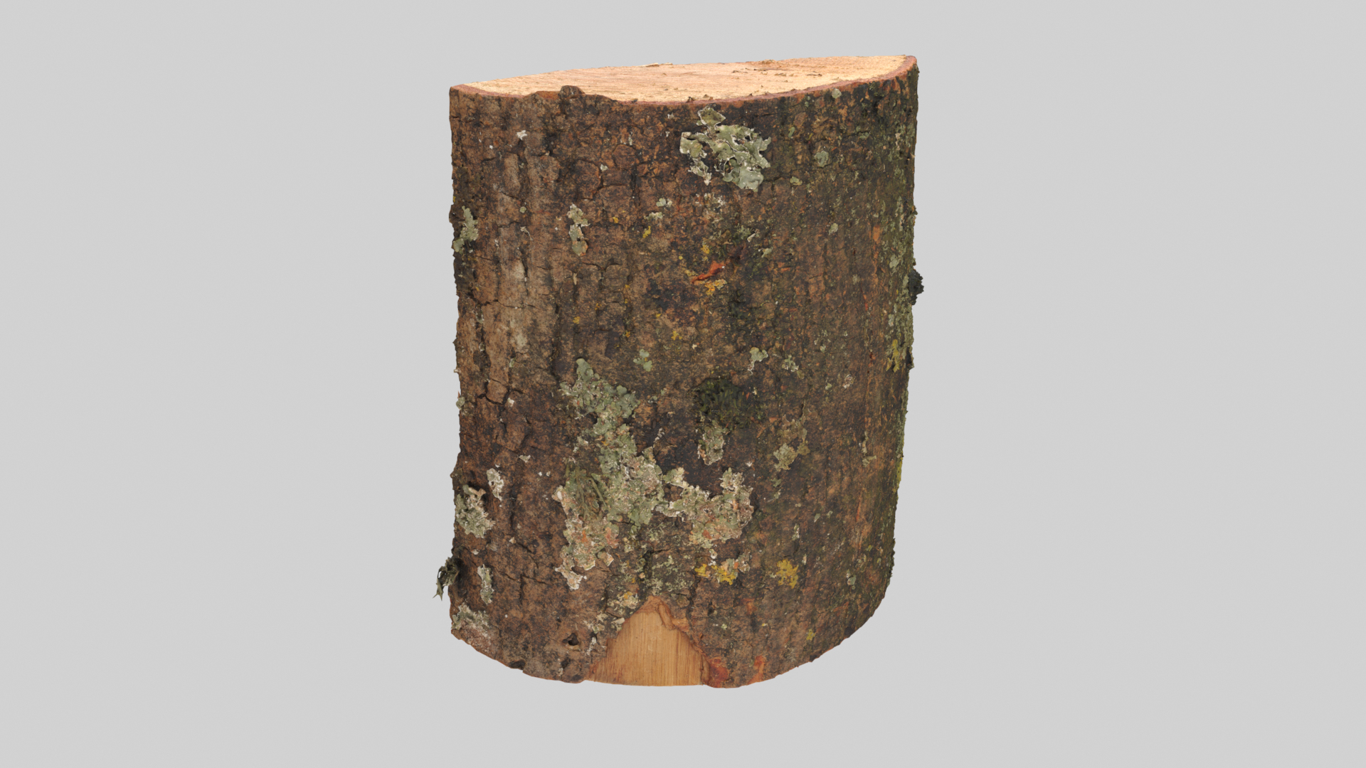 3D Model Log 02 - TurboSquid 1983429